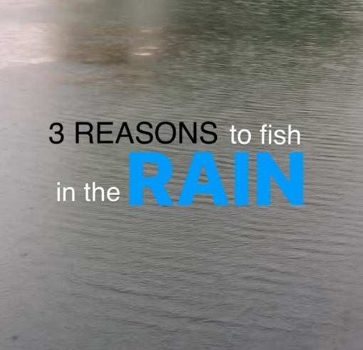 3 REASONS to Fish in the RAIN – Dangle Lures
